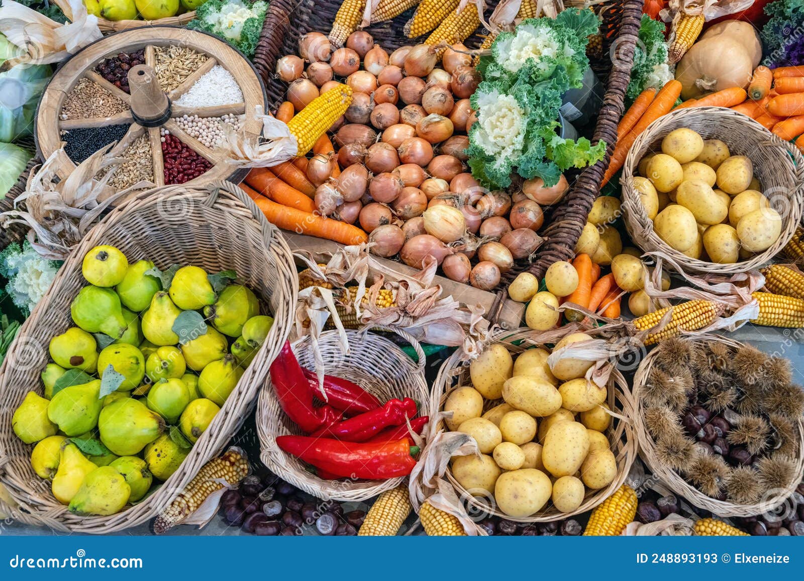 Diferentes Tipos De Frutas Y Hortalizas Imagen de archivo - Imagen de ... Diferentes Tipos De Frutas Y Hortalizas Imagen de archivo - Imagen de ...