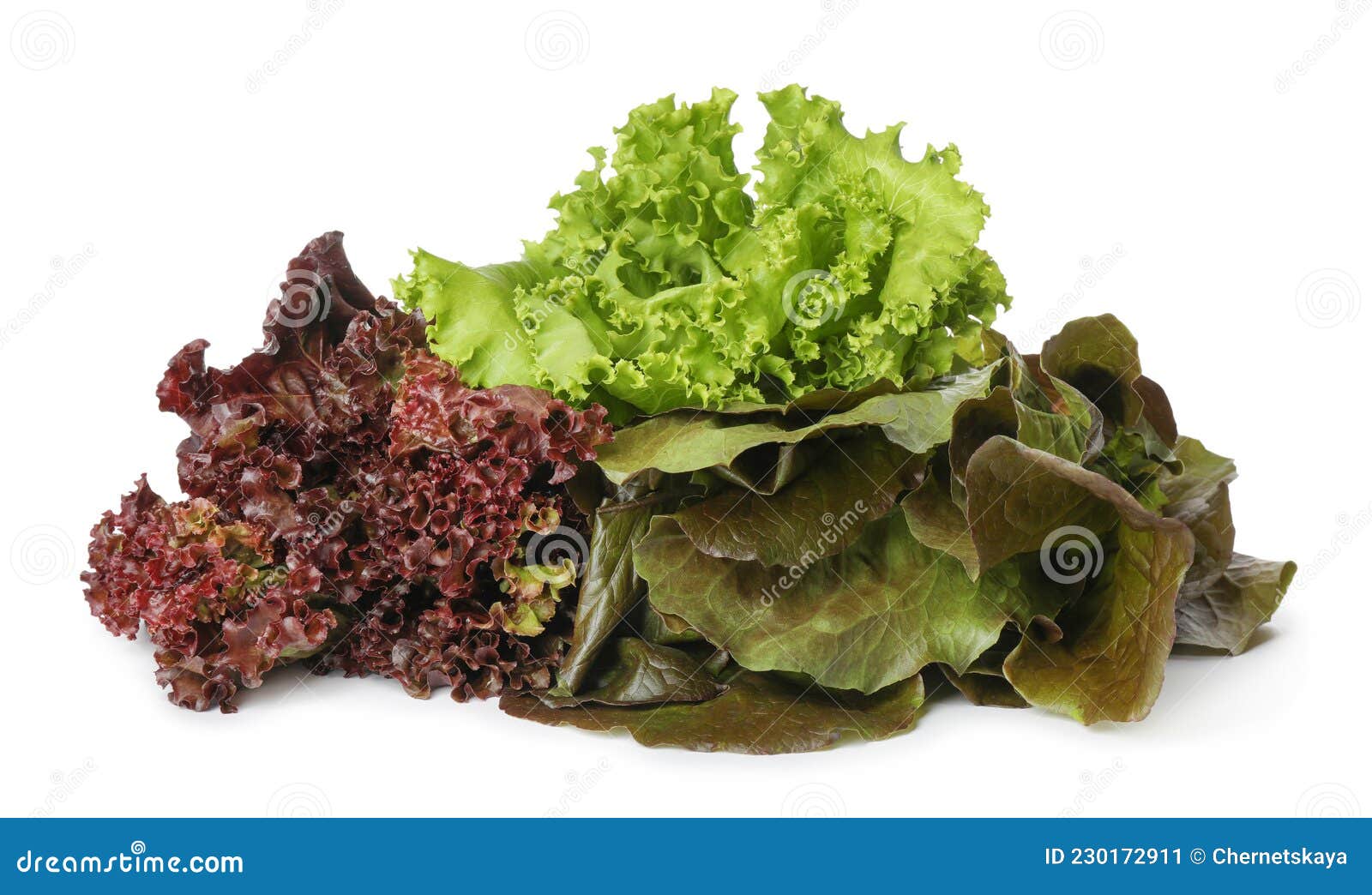 Diferentes Tipos De Lechuga Sobre Fondo Blanco Imagen de archivo ...