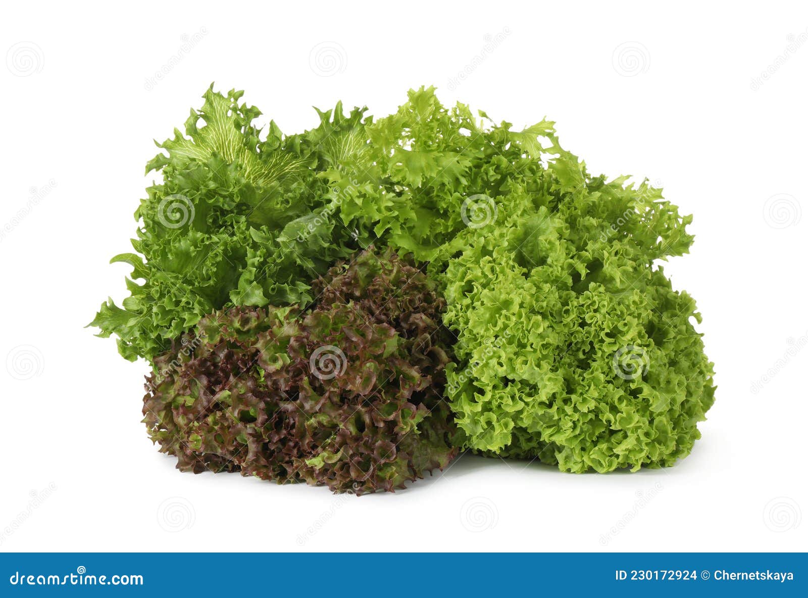 Diferentes Tipos De Lechuga Sobre Fondo Blanco Foto de archivo - Imagen ...