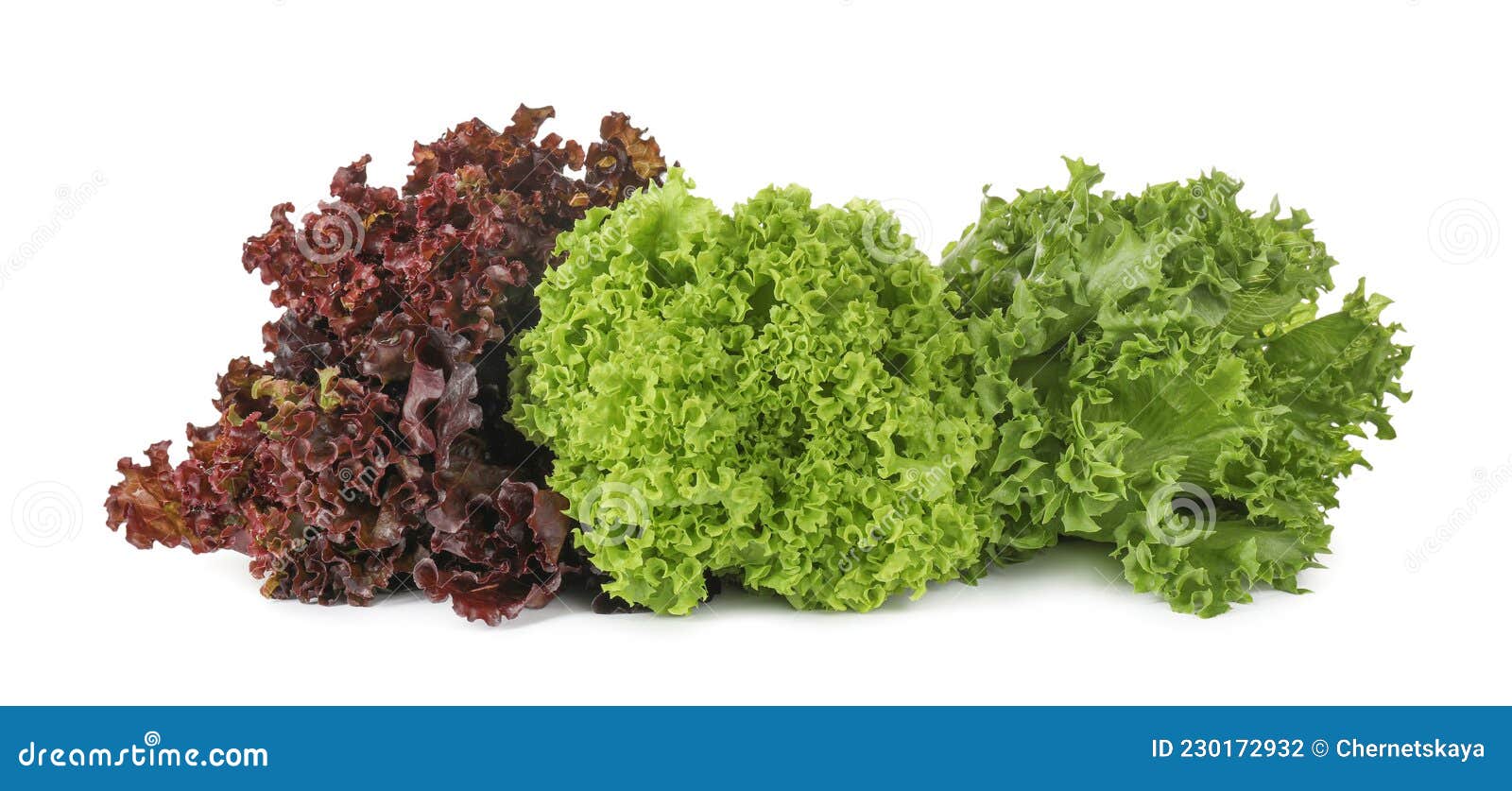 Diferentes Tipos De Lechuga Sobre Fondo Blanco Foto de archivo - Imagen ...