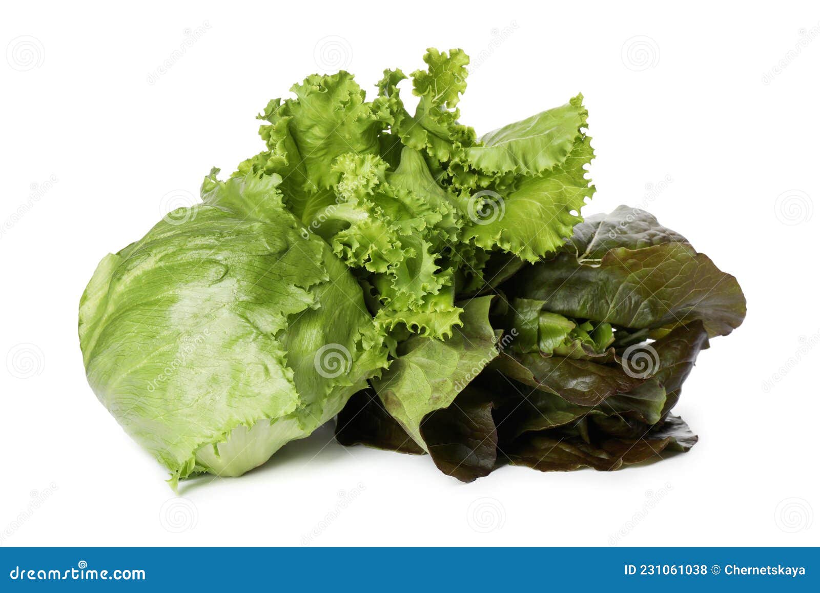 Diferentes Tipos De Lechuga Sobre Fondo Blanco Foto de archivo - Imagen ...