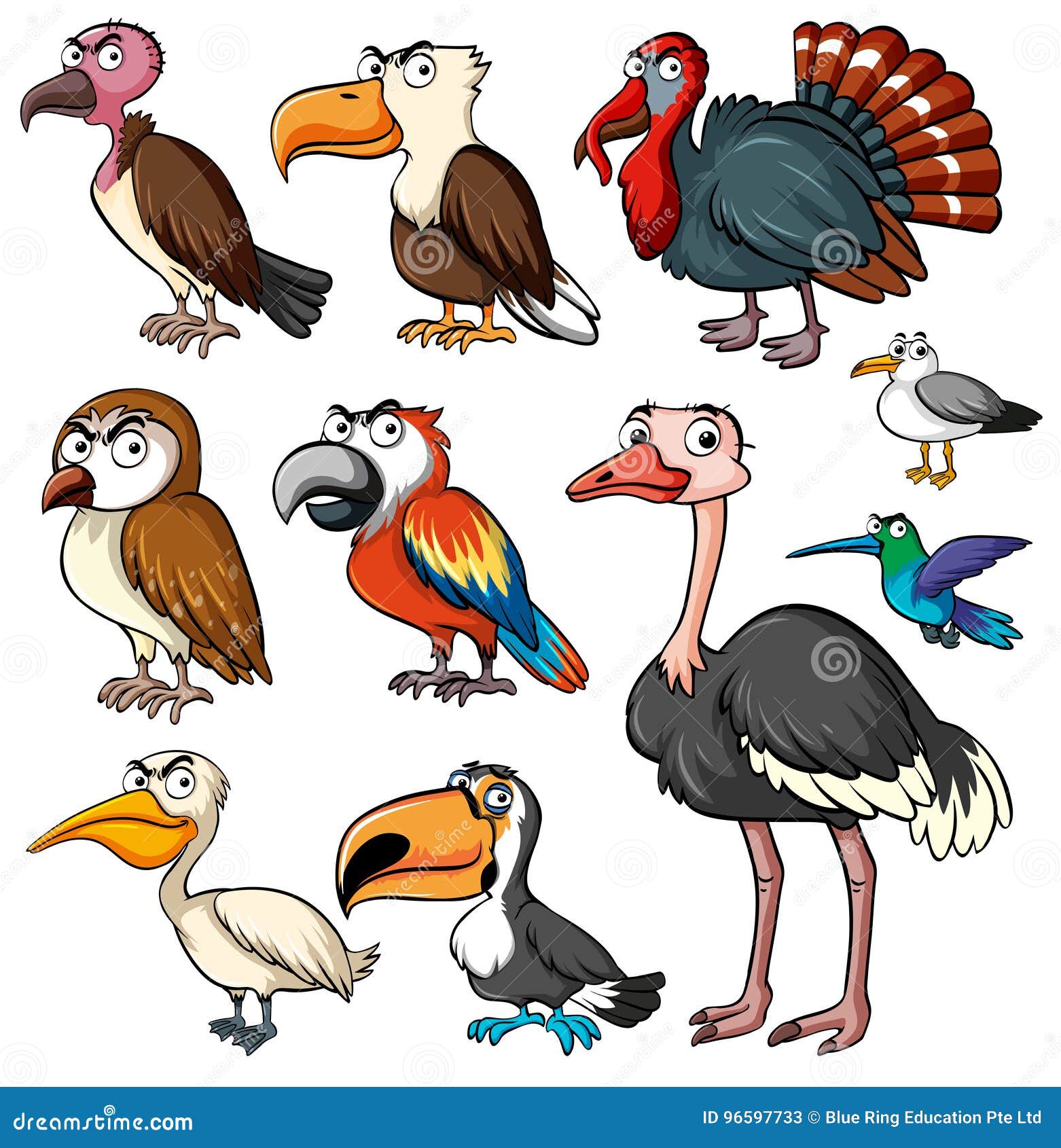Diferentes Tipos De Pájaros Salvajes Ilustración del Vector ...