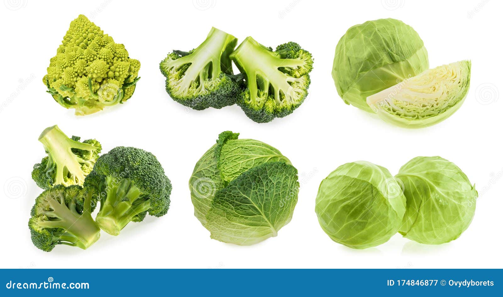 Diferentes Tipos De Repolho Isolados Em Fundo Branco Imagem de Stock ...