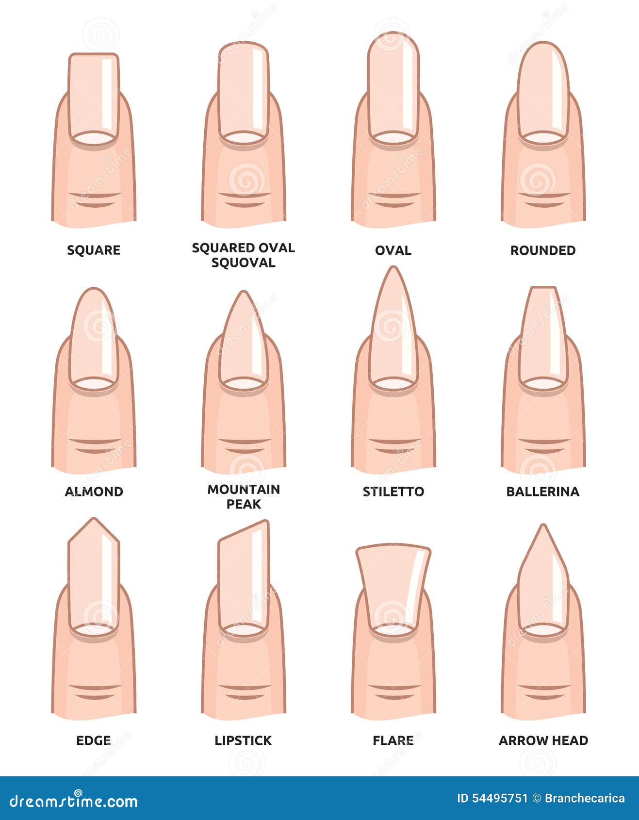 Différentes Formes De Clou - Tendances De Mode D'ongles Illustration ...