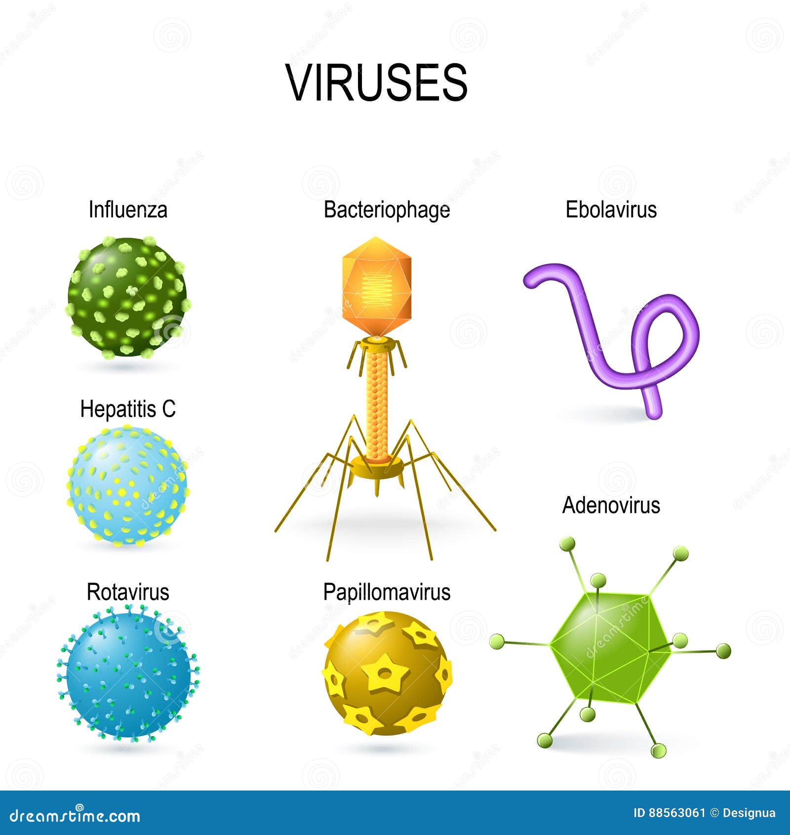 Différentes Formes Des Virus Illustration de Vecteur - Illustration du ...