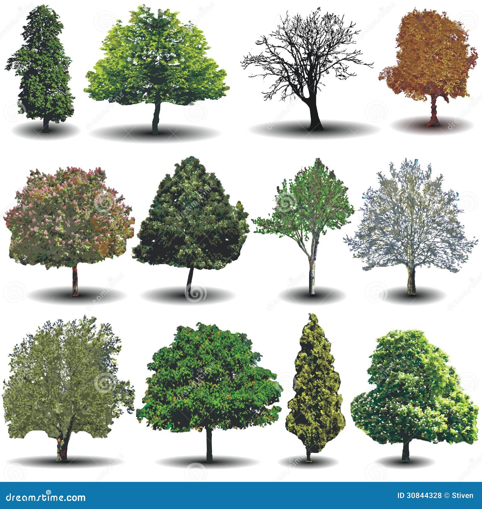 Différents Arbres De Vecteur Illustration de Vecteur - Illustration du ...