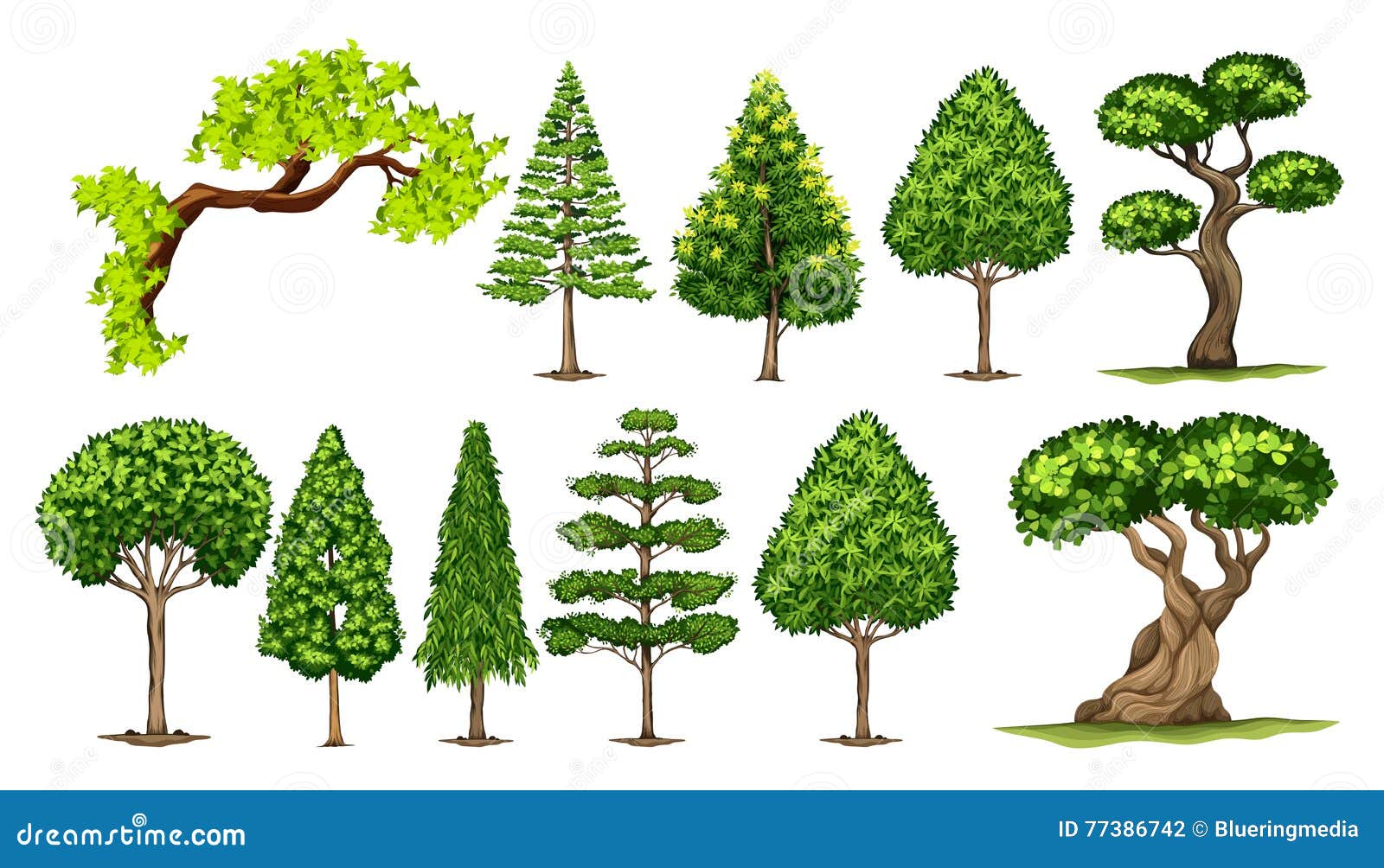 Différents genres d'arbres illustration de vecteur. Illustration du ...