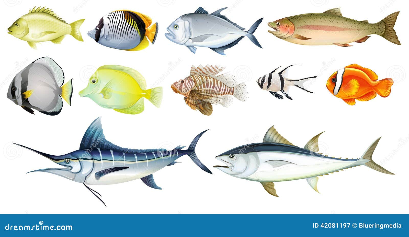 Différents poissons illustration de vecteur. Illustration du aquatique ...