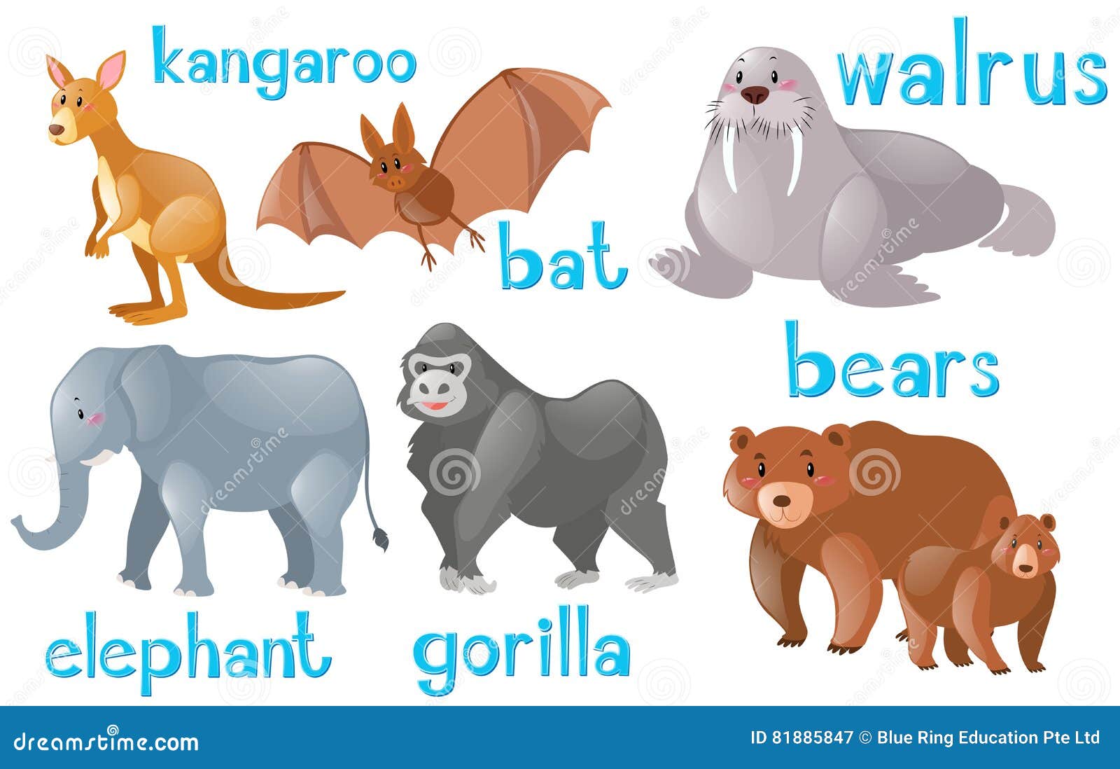 Différents Types D'animaux Sauvages Illustration de Vecteur ...