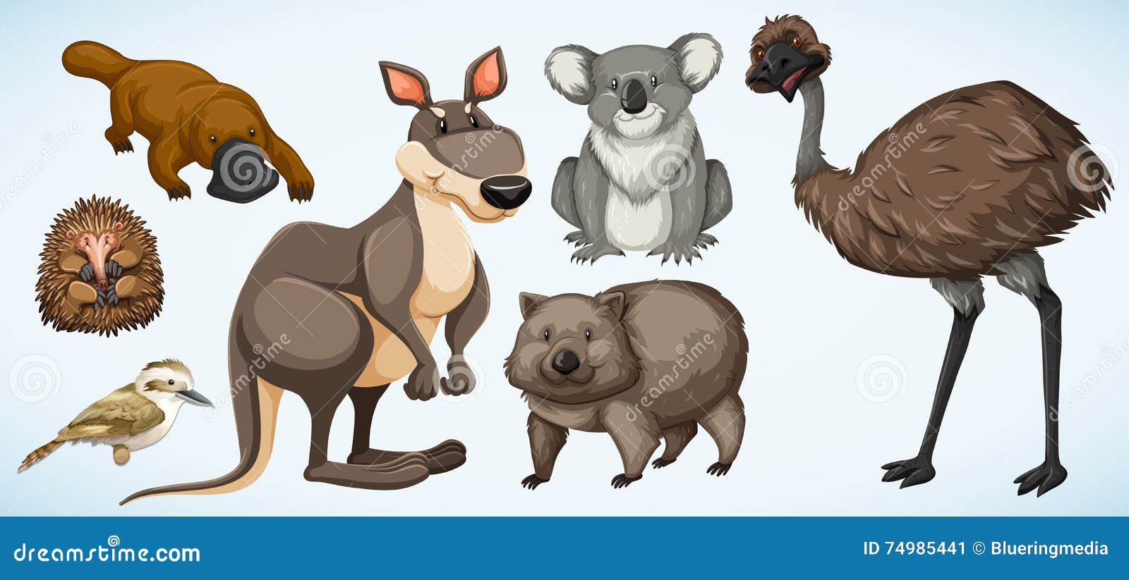 Différents Types D'animaux Sauvages Dans L'Australie Illustration de ...
