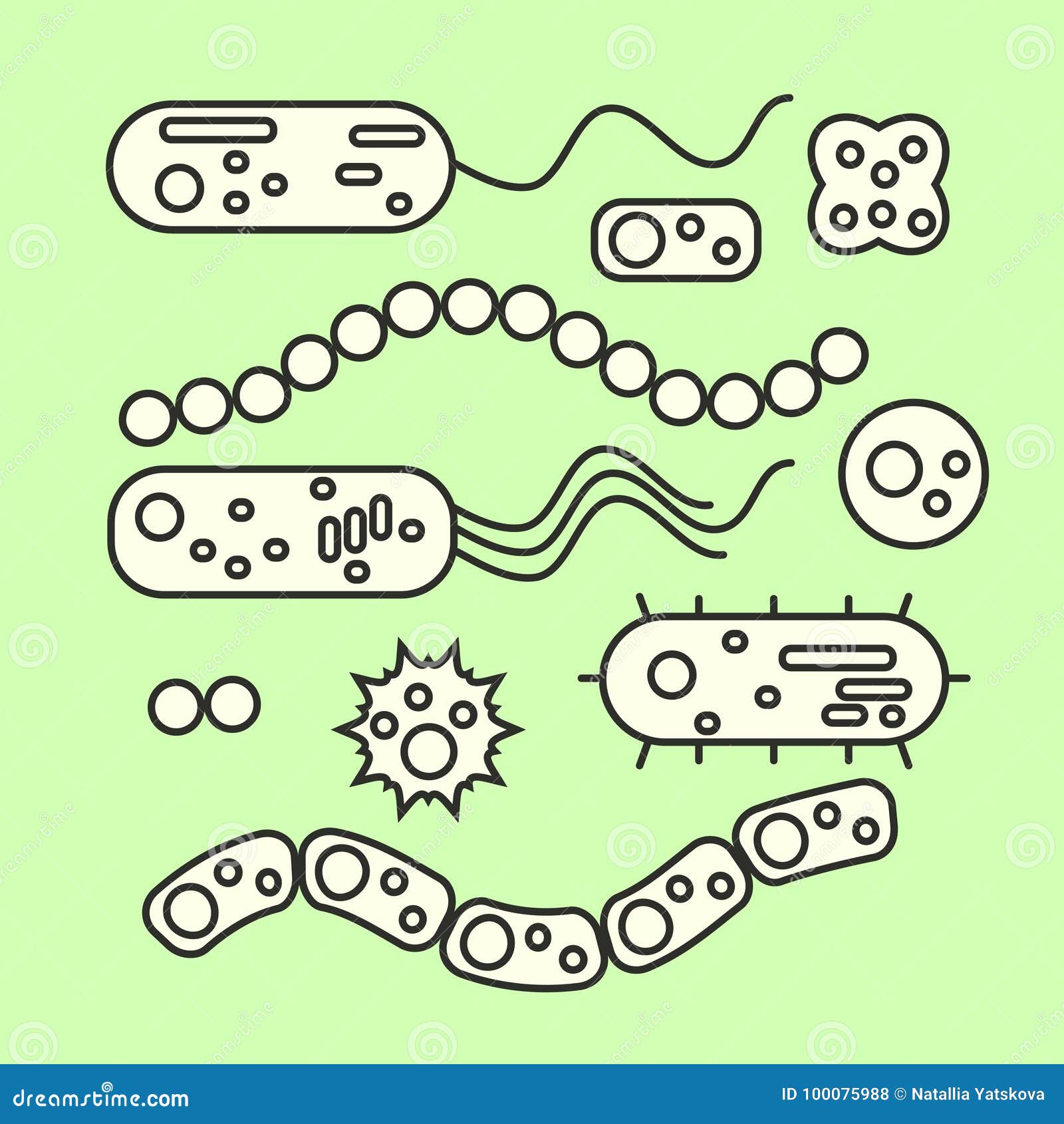 Différents Types De Bactéries Illustration de Vecteur - Illustration du ...