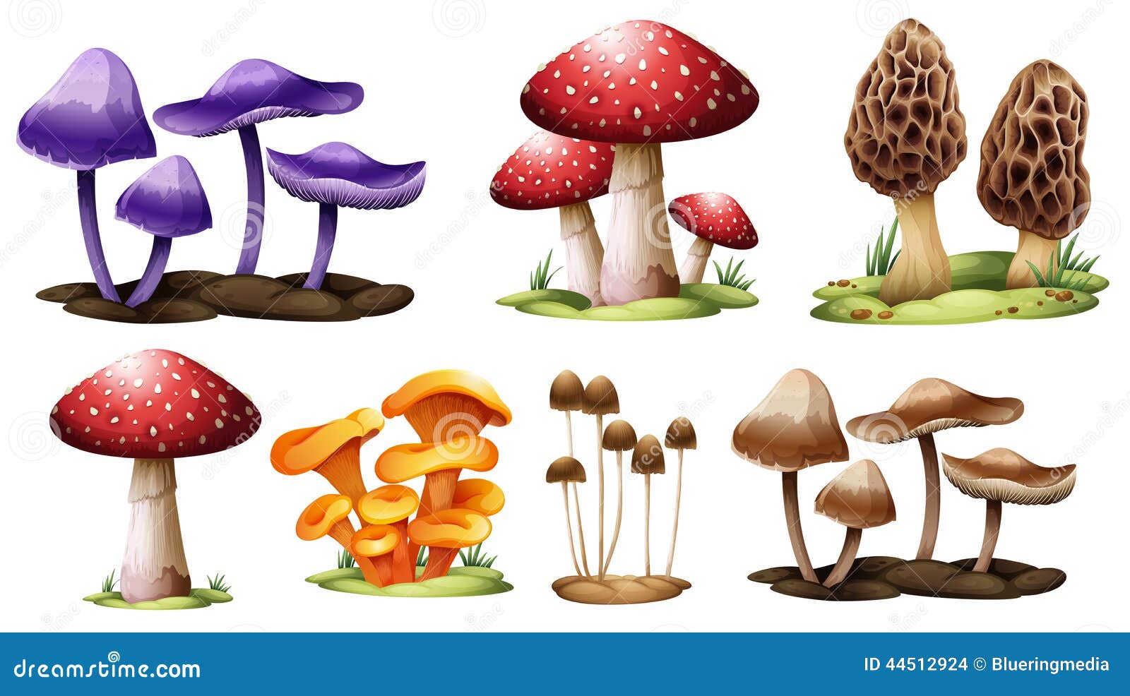 Différents Types De Champignons Illustration de Vecteur - Image: 44512924