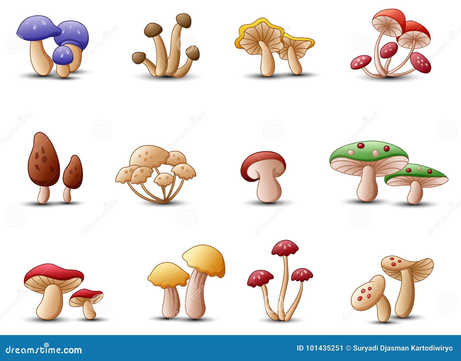Différents Types De Champignons Sur Un Fond Blanc Illustration de ...