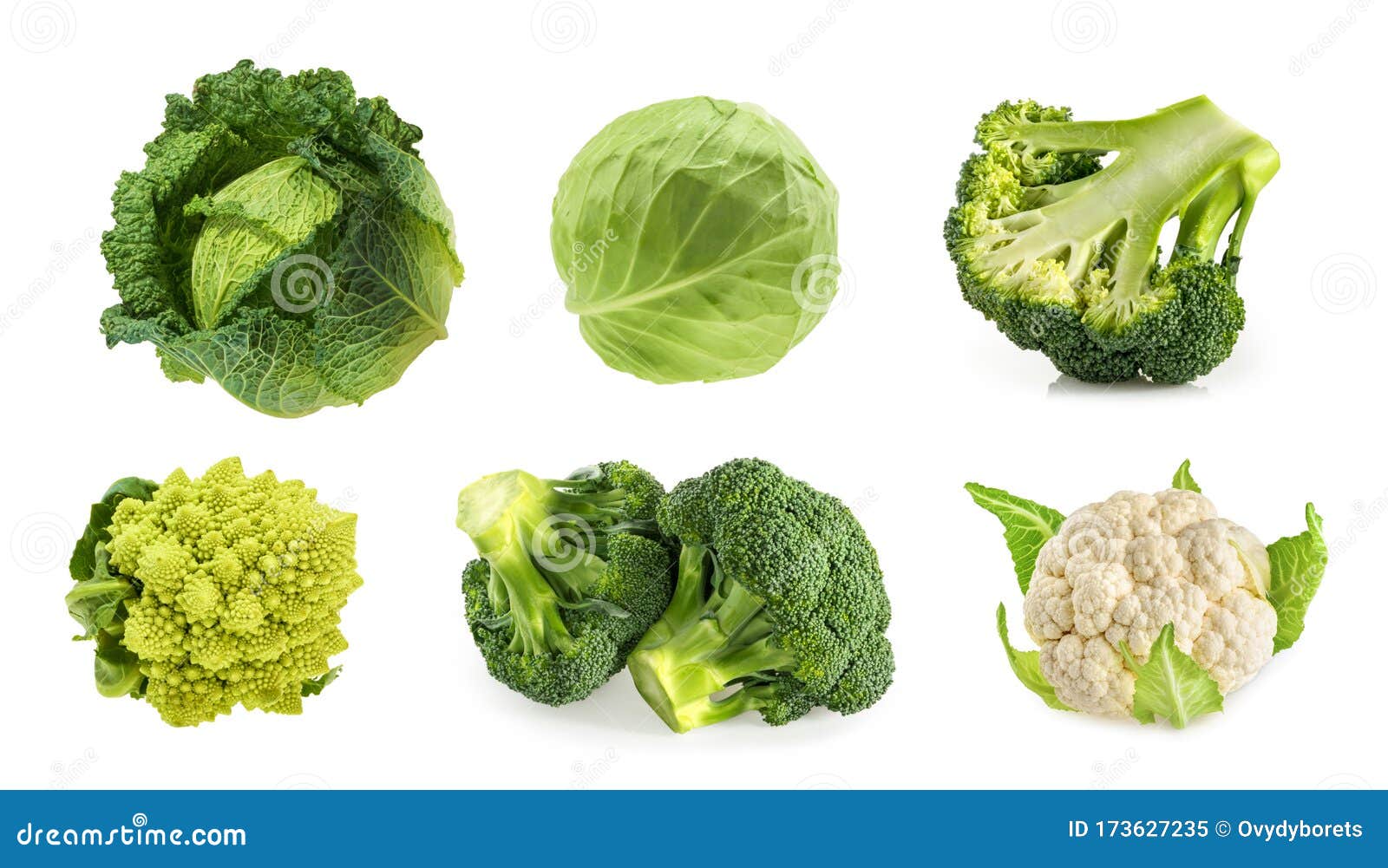 Différents Types De Chou Isolée Sur Le Fond Blanc Image stock - Image ...