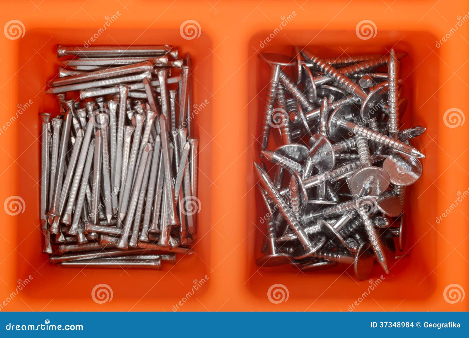 Différents Types De Clous Dans Une Boîte En Plastique. Photo stock ...