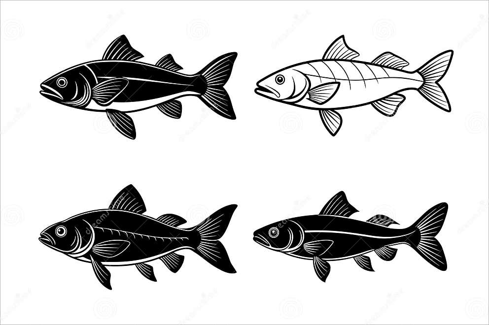 4 Difference Barbel Fish in Vector Stock Illustration - Illustration of ...