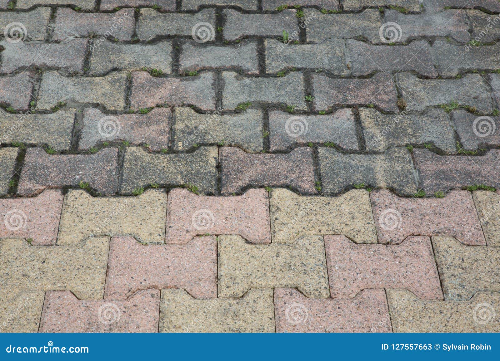Difference between Clean Driveway Autoblocking Slabs and Dirty after a ...