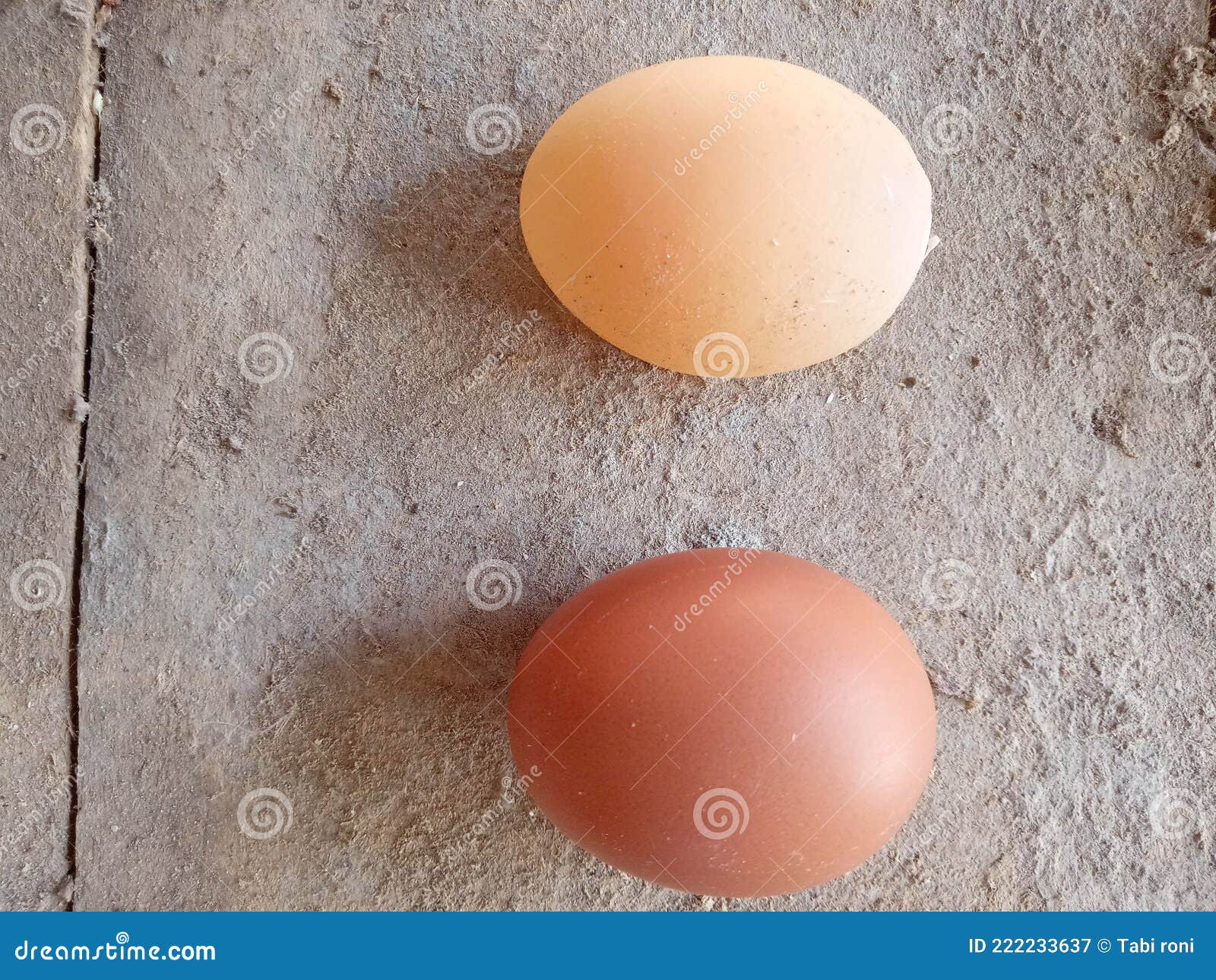 The Difference between Dark Brown and Light Brown of Egg S Shell. Stock ...