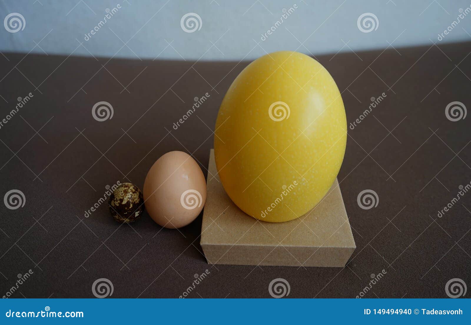 Difference between eggs stock photo. Image of natural - 149494940