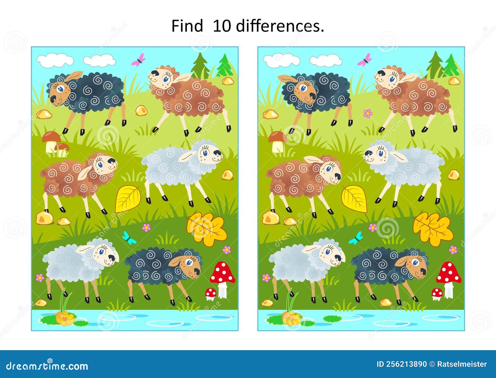 Difference Game with Sheep Grazing at the Pasture Stock Photo ...