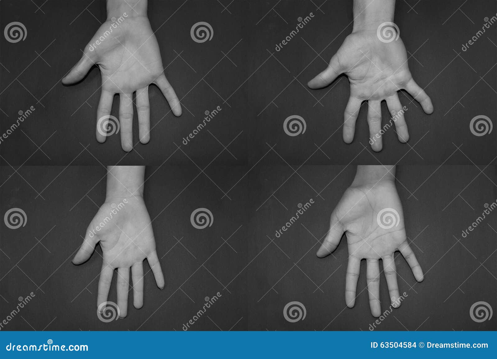 Difference in hands stock photo. Image of difference - 63504584