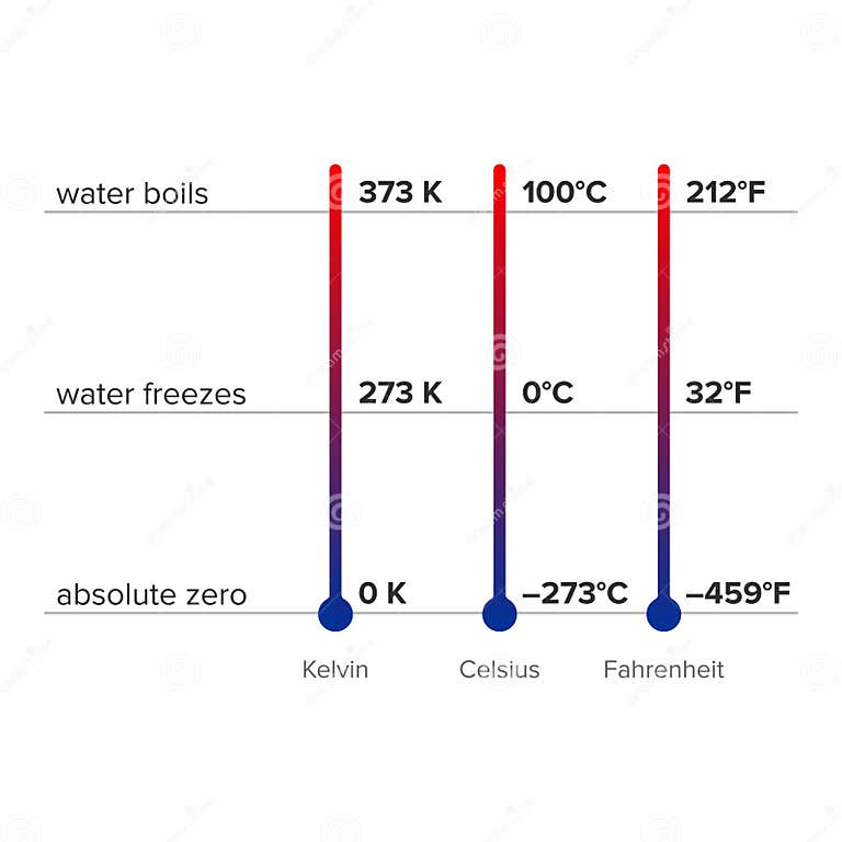 Difference between Thermometers and Conversion Chart Stock Vector ...