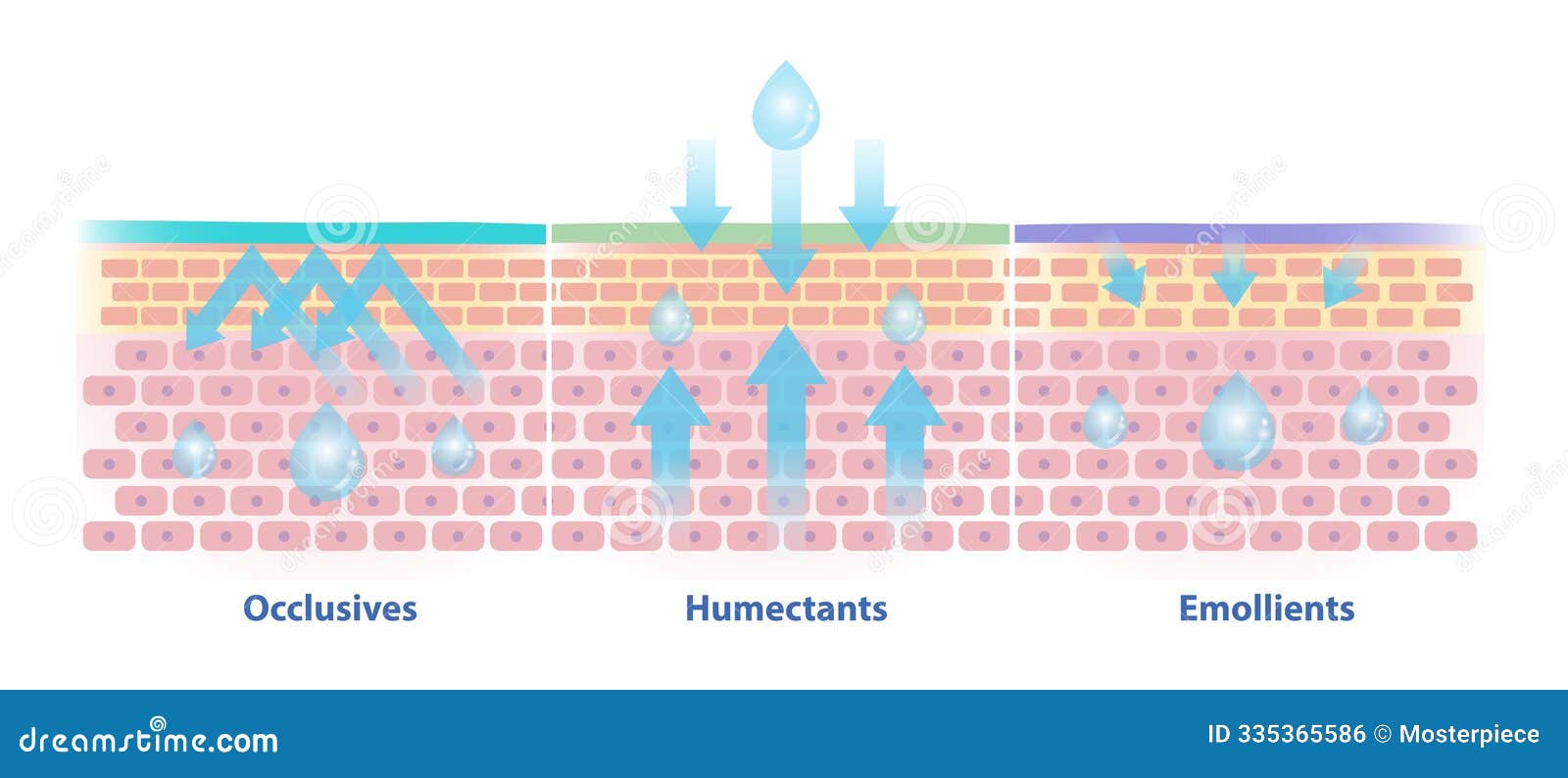 Humectants Cartoons, Illustrations & Vector Stock Images - 41 Pictures ...