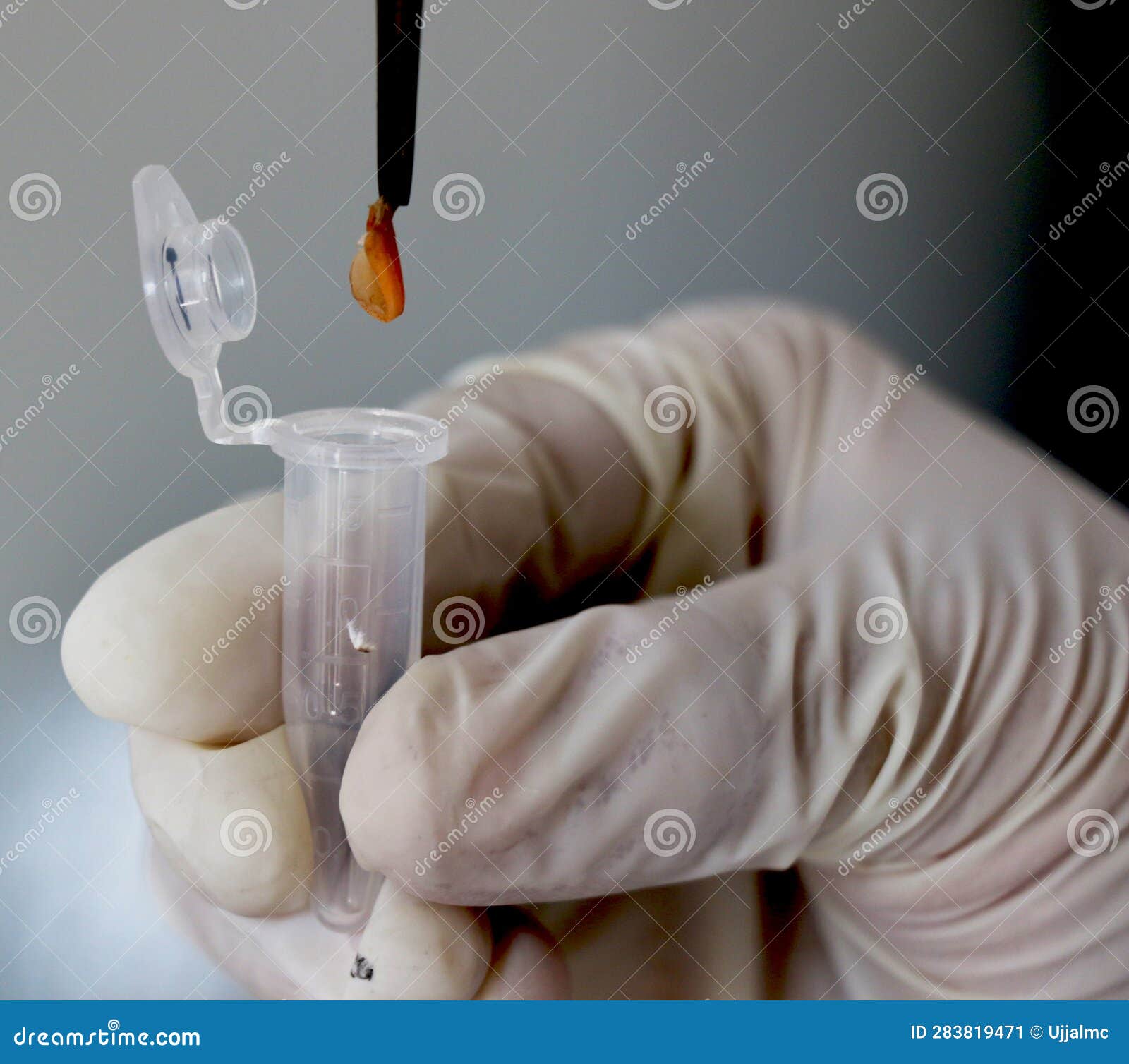 Different Activities of PCR Testing for Virus Recognition Stock Image ...