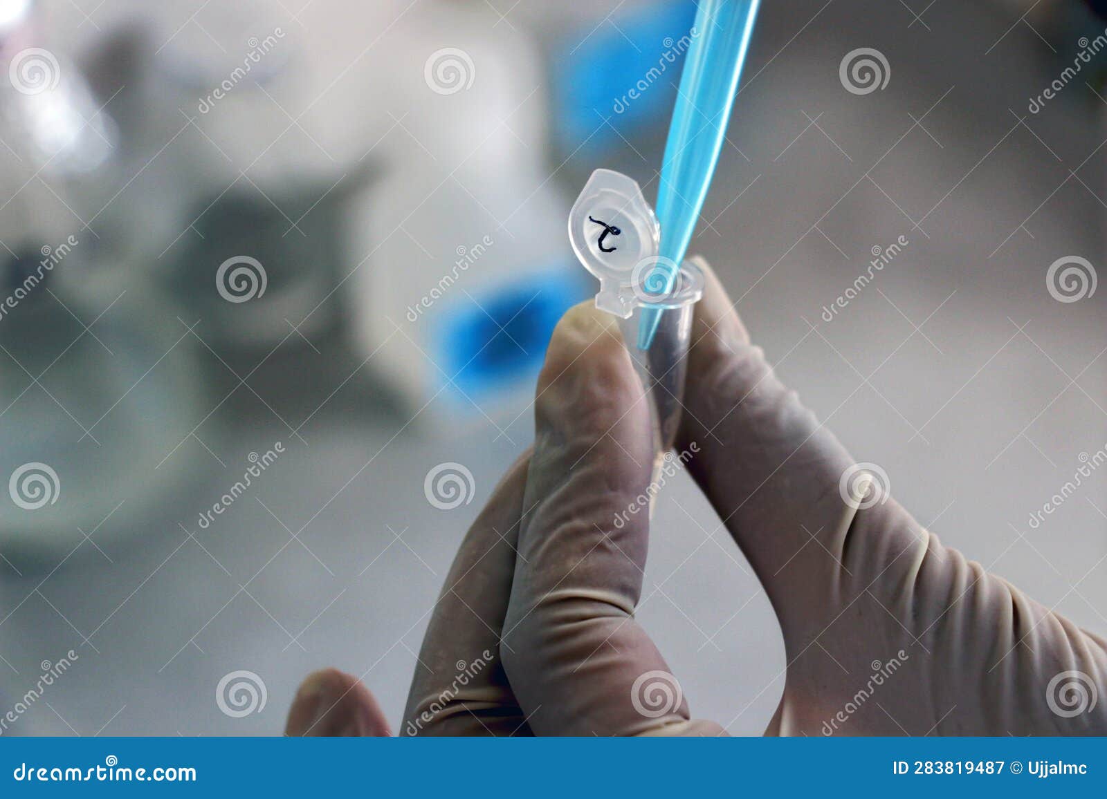 Different Activities of PCR Testing for Virus Recognition Stock Image ...
