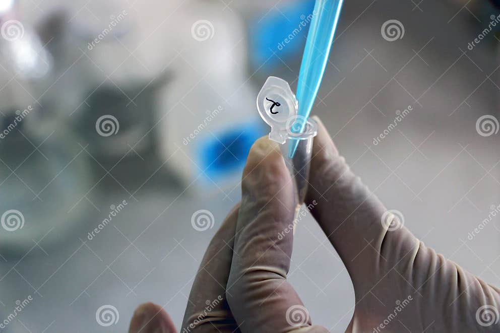 Different Activities of PCR Testing for Virus Recognition Stock Image ...