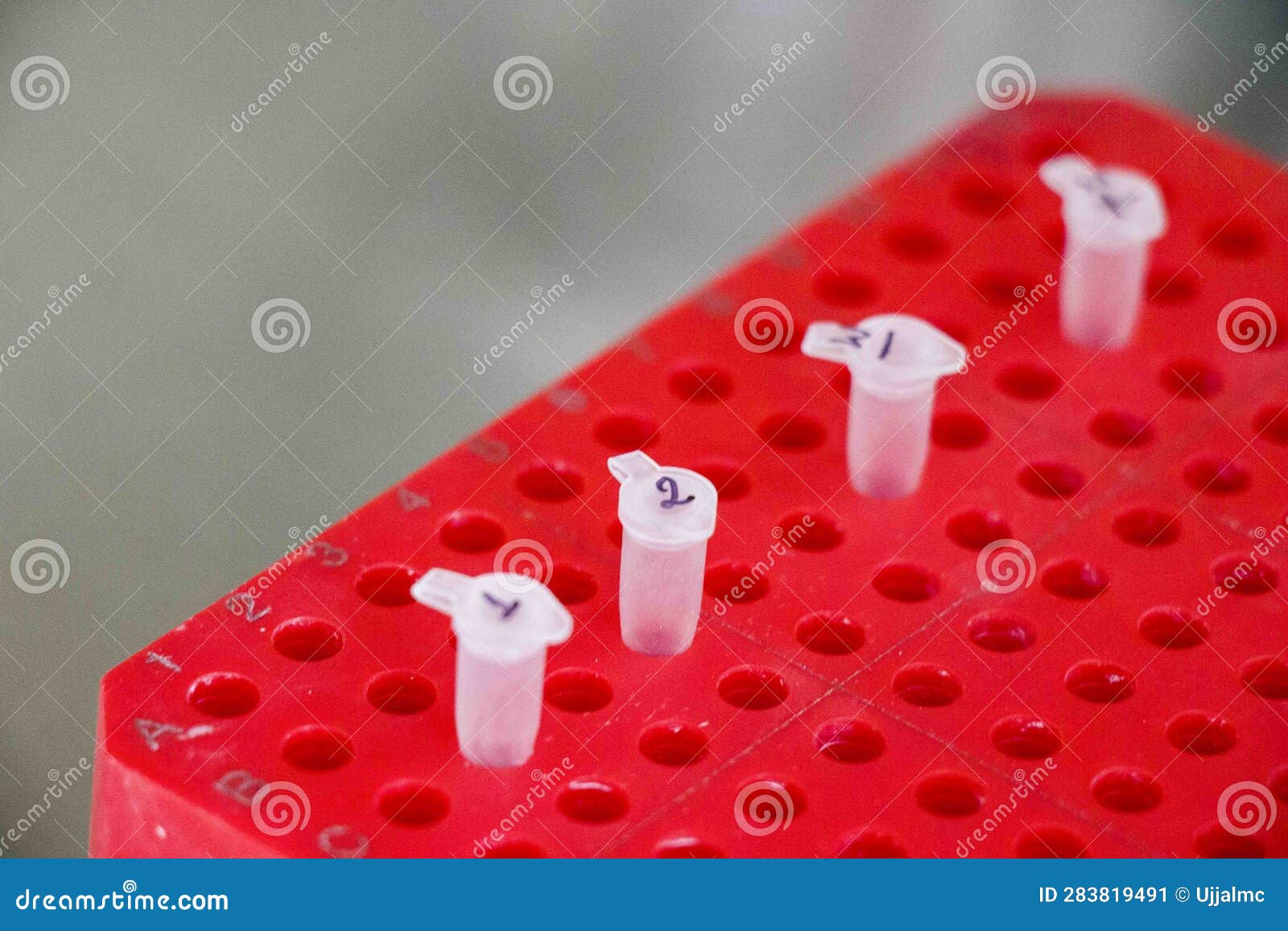 Different Activities of PCR Testing for Virus Recognition Stock Image ...