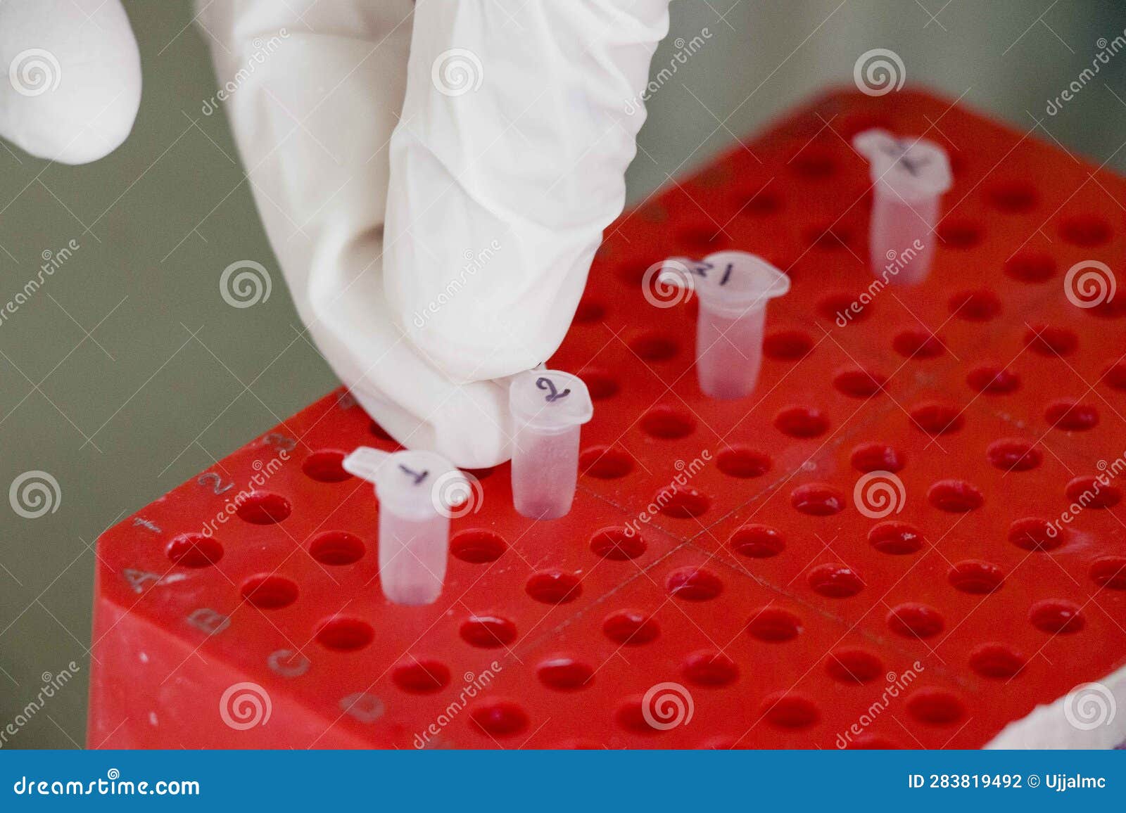 Different Activities of PCR Testing for Virus Recognition Stock Photo ...