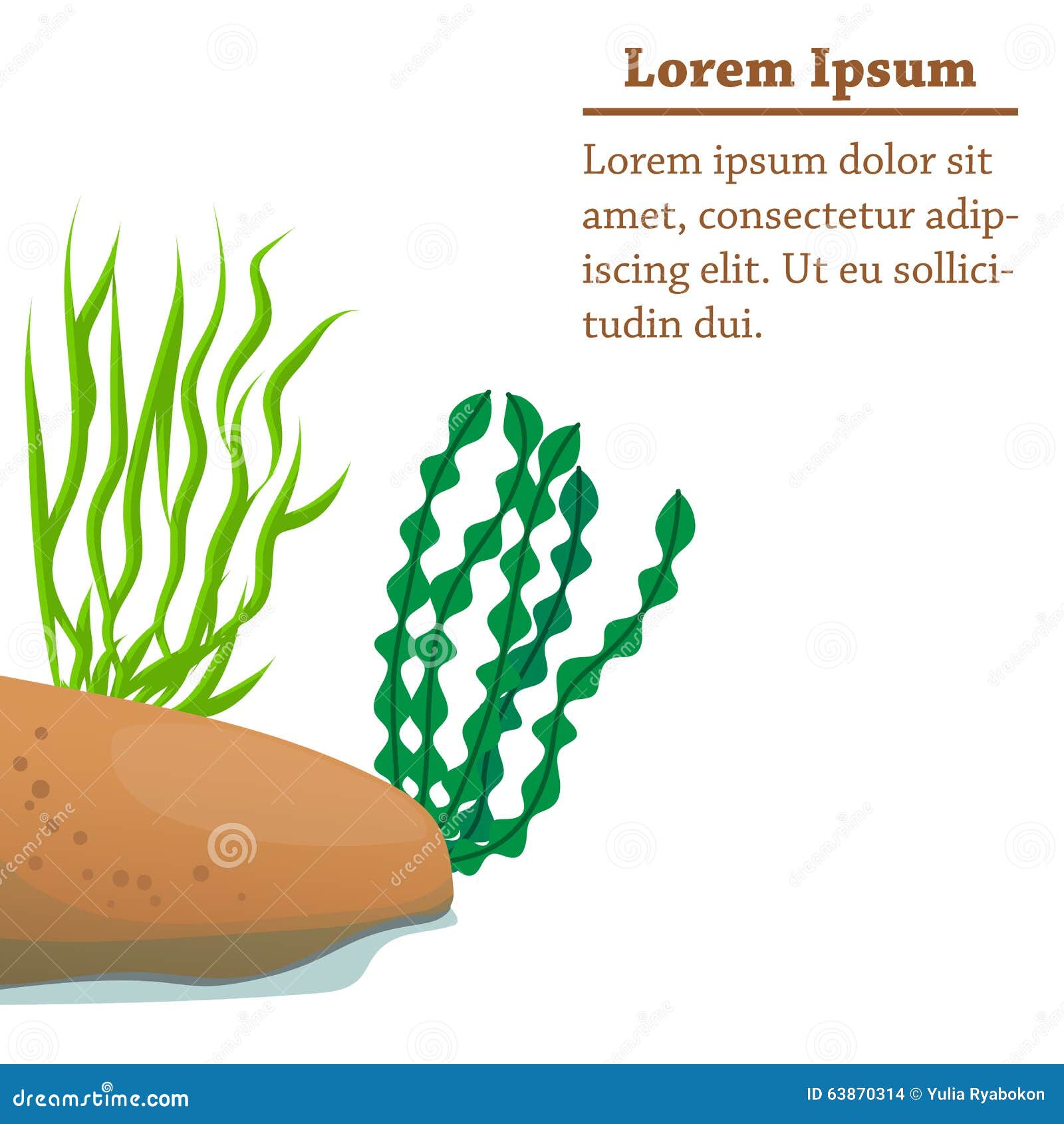 Different Algae Cartoon Illustration Stock Vector - Illustration of ...