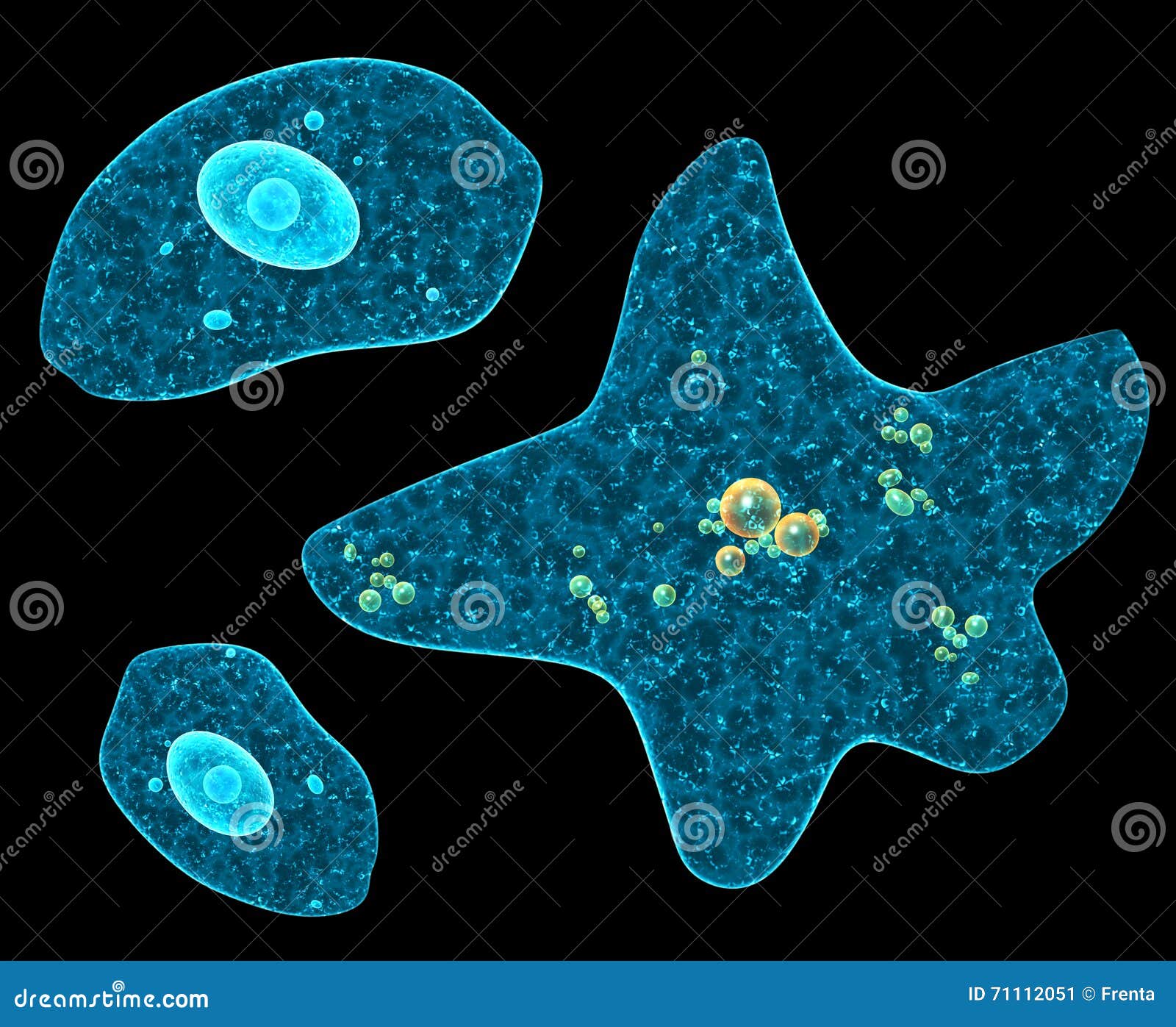 Different Amoebas on Black Background Stock Illustration - Illustration ...