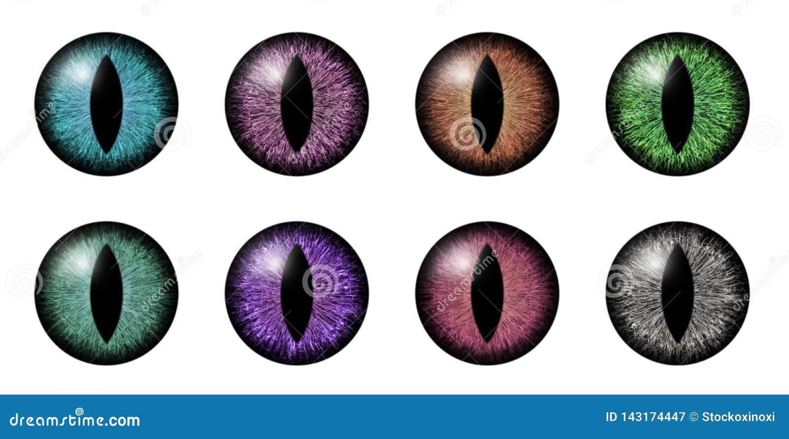 Animal Eyes Logo Design Vector Inspiration | CartoonDealer.com #211710847