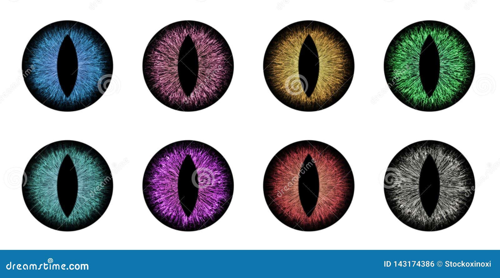 Different Animal Eyes Iris Macro Illustration without Light Spot Stock ...