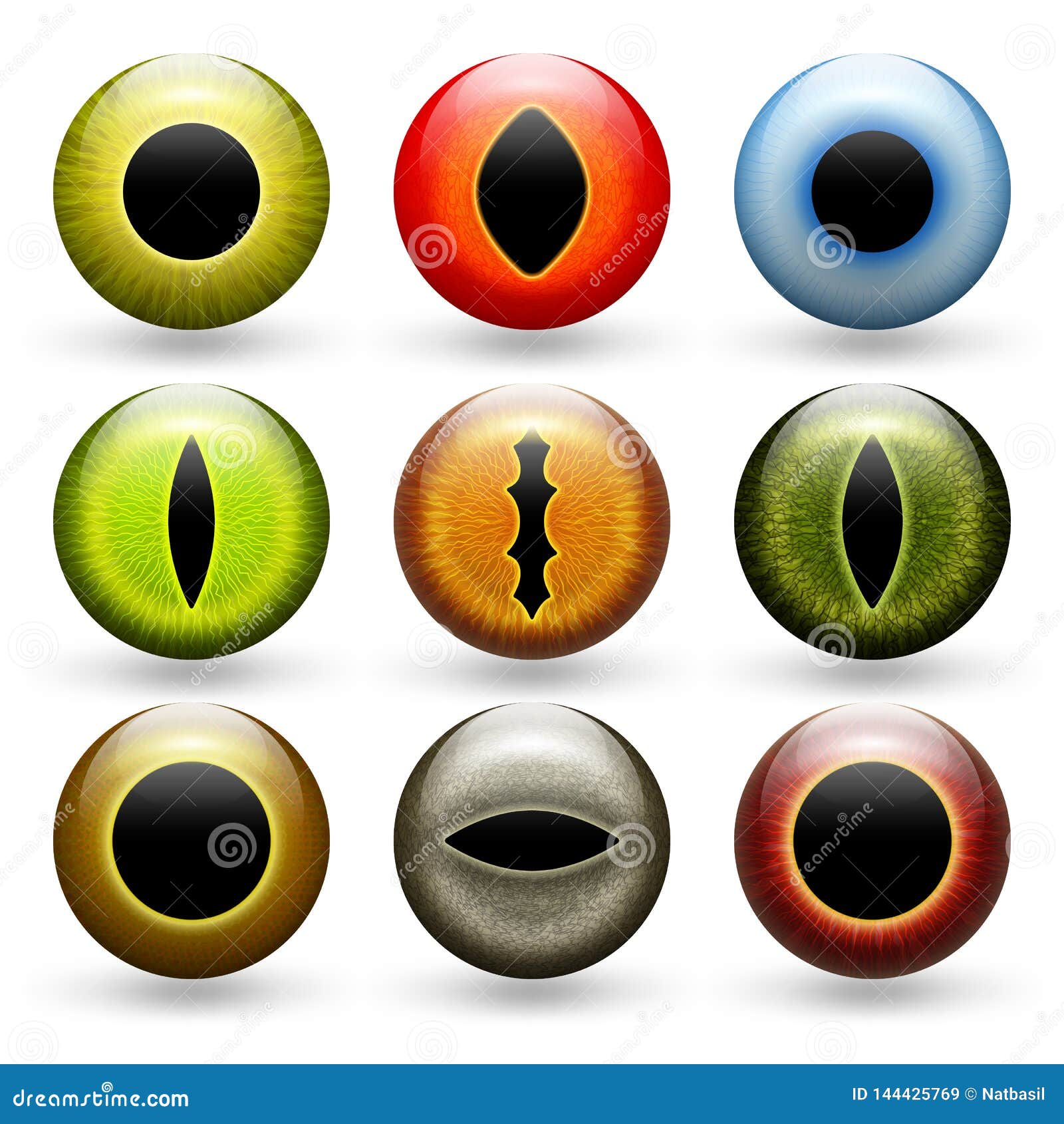 Different animals eyes set stock vector. Illustration of biology ...