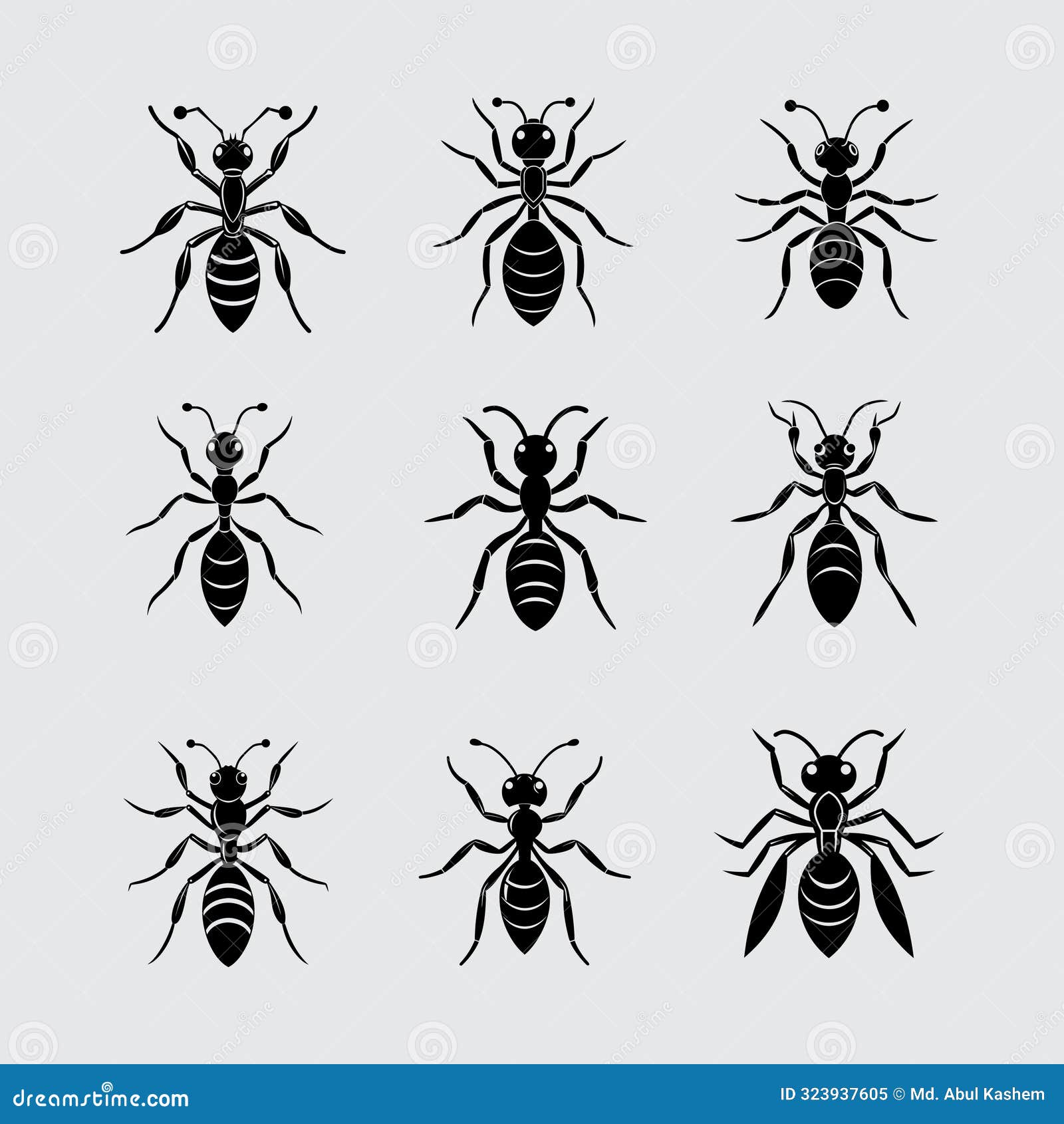 Different Ant Species Vector Illustration Stock Illustration ...