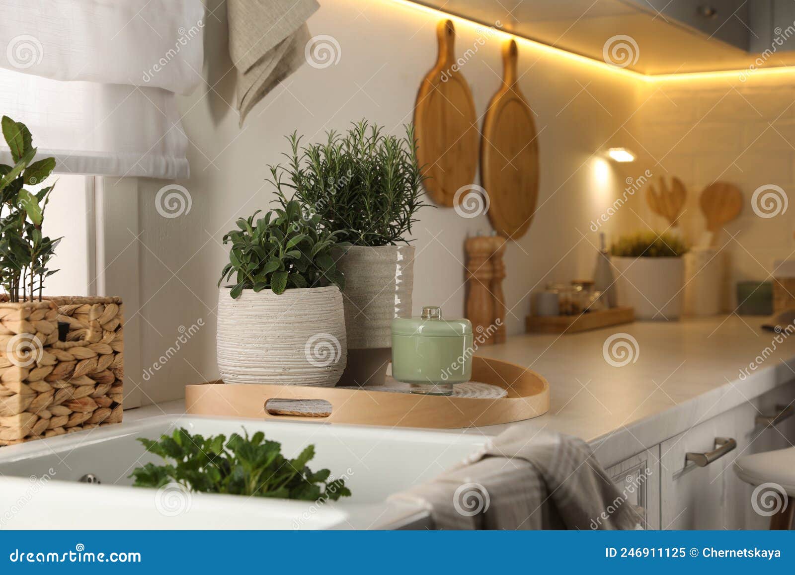 Different Aromatic Potted Herbs on Countertop in Kitchen Stock Image ...