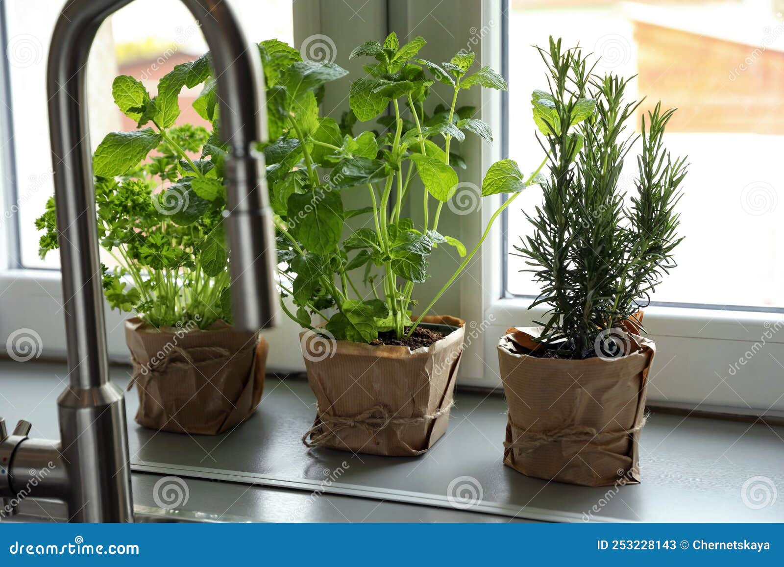 Different Aromatic Potted Herbs on Window Sill Near Kitchen Sink Stock ...