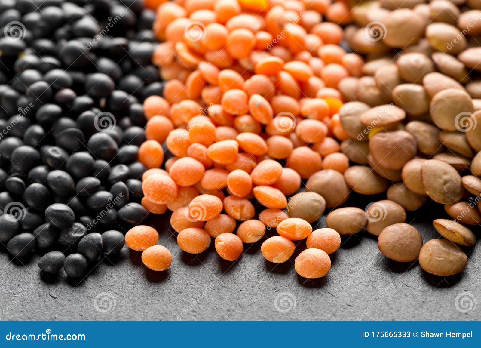 Different Assorted Lentils Mix with Red, Brown and Black Beluga Lentils ...