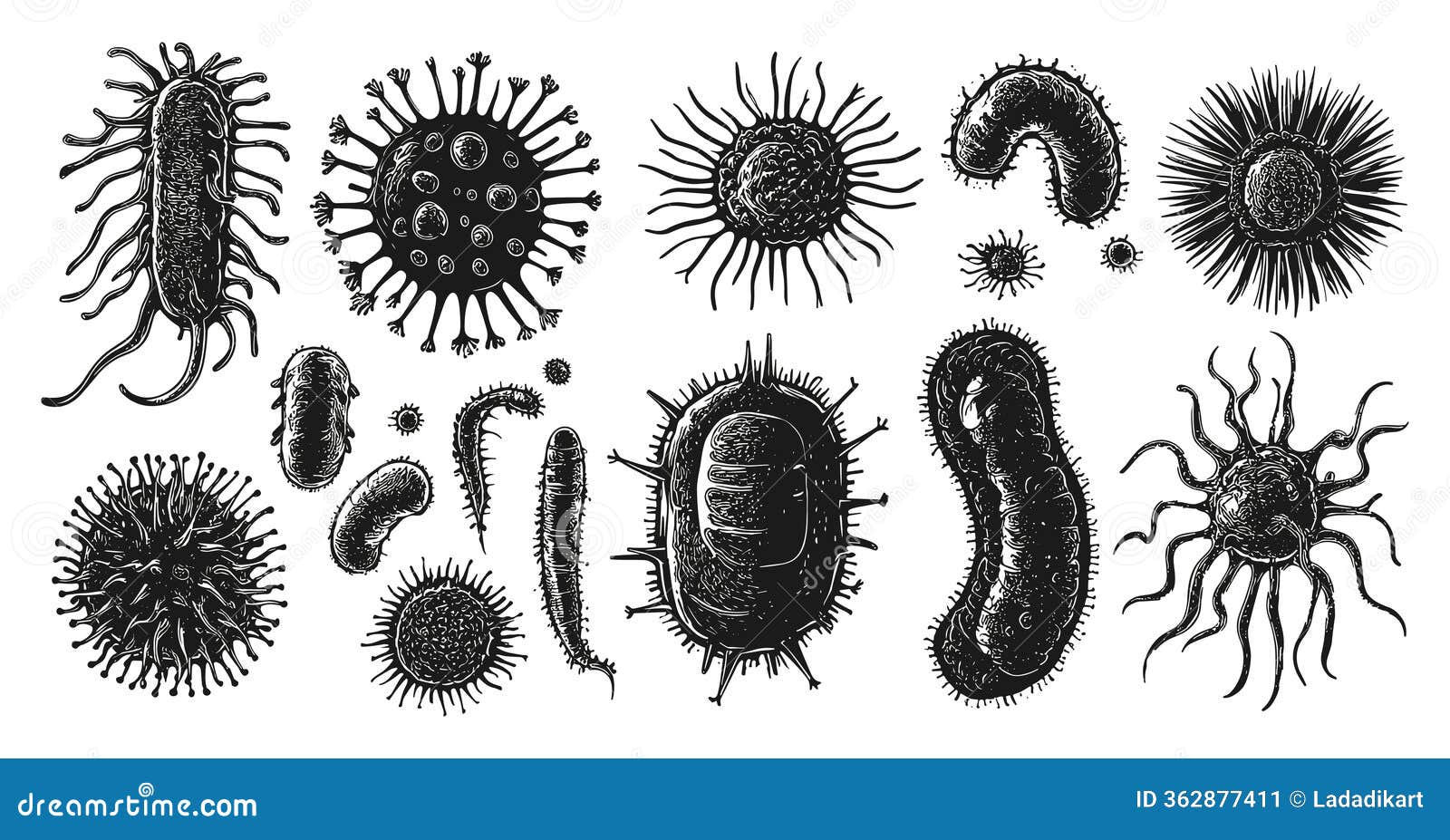 Drawing To Bacterias Vector Illustration | CartoonDealer.com #35959862