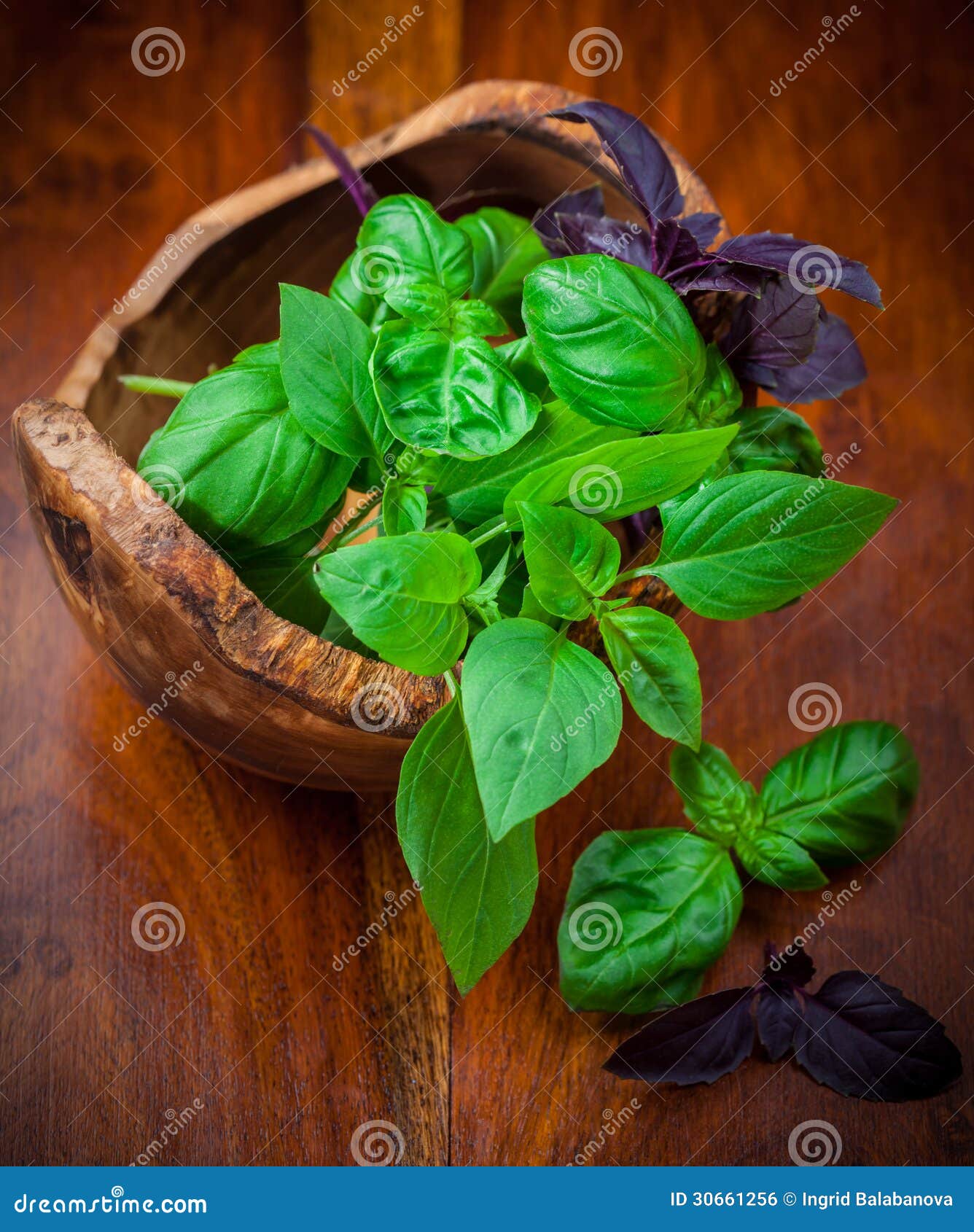 Different basil sorts stock photo. Image of culinary - 30661256