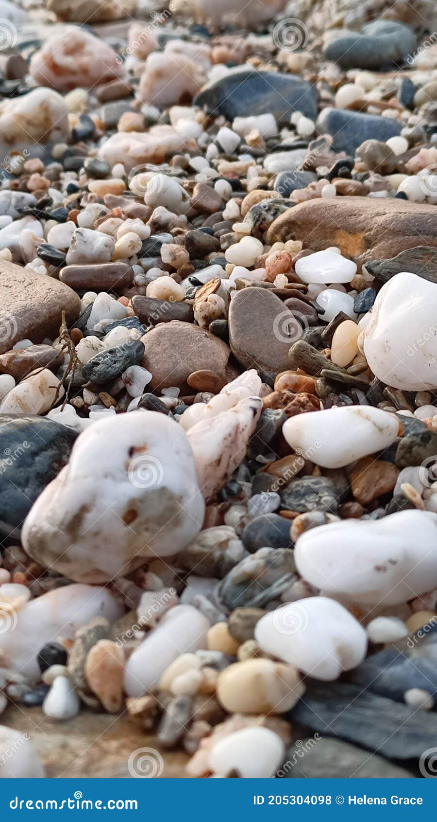 Different Beach Pebbles stock photo. Image of white - 205304098