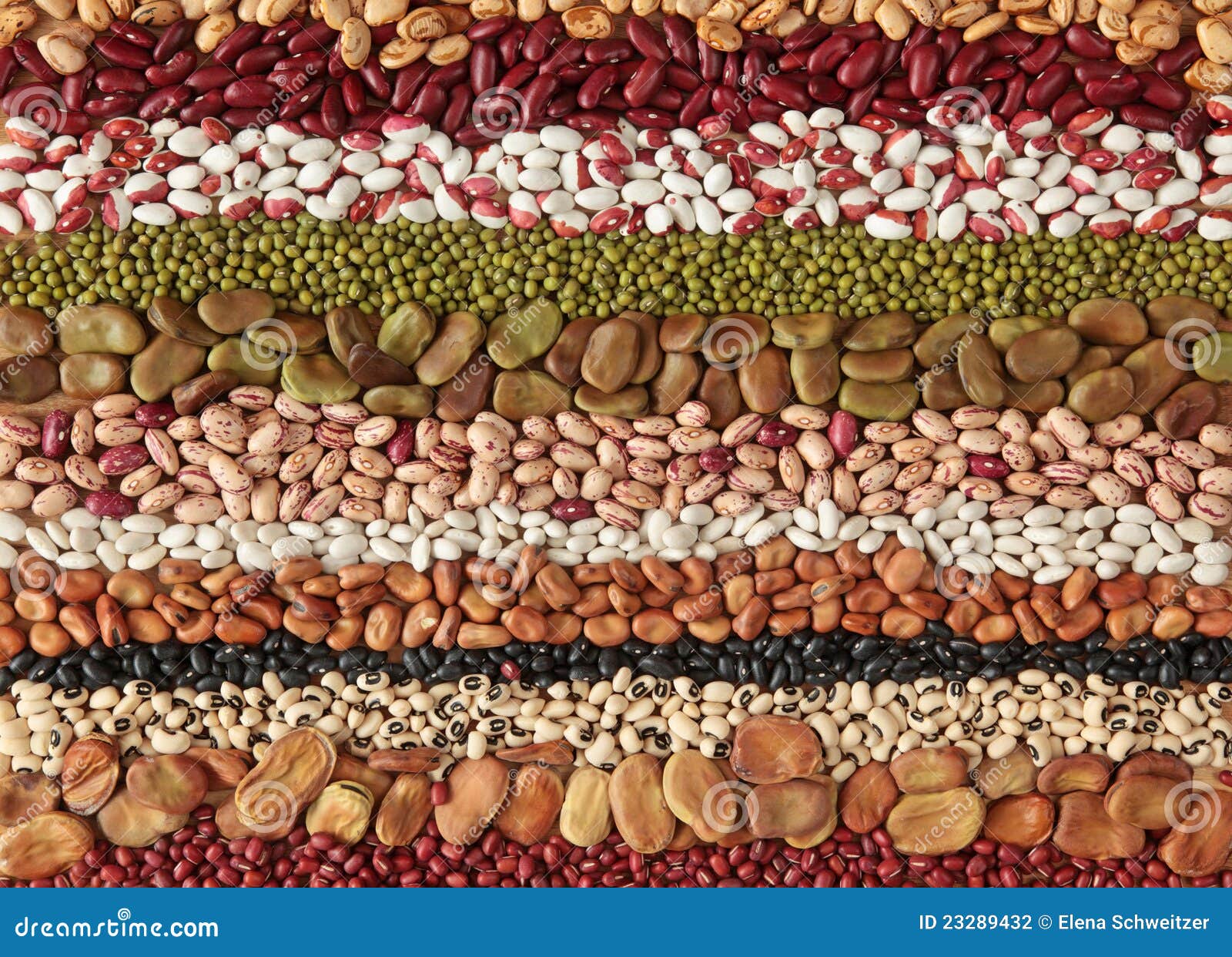 Different beans stock photo. Image of uncooked, white - 23289432