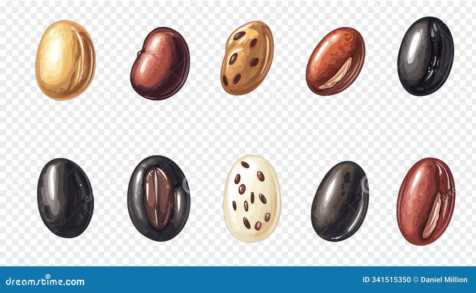 Different Beans Set Illustration Stock Illustration - Illustration of ...