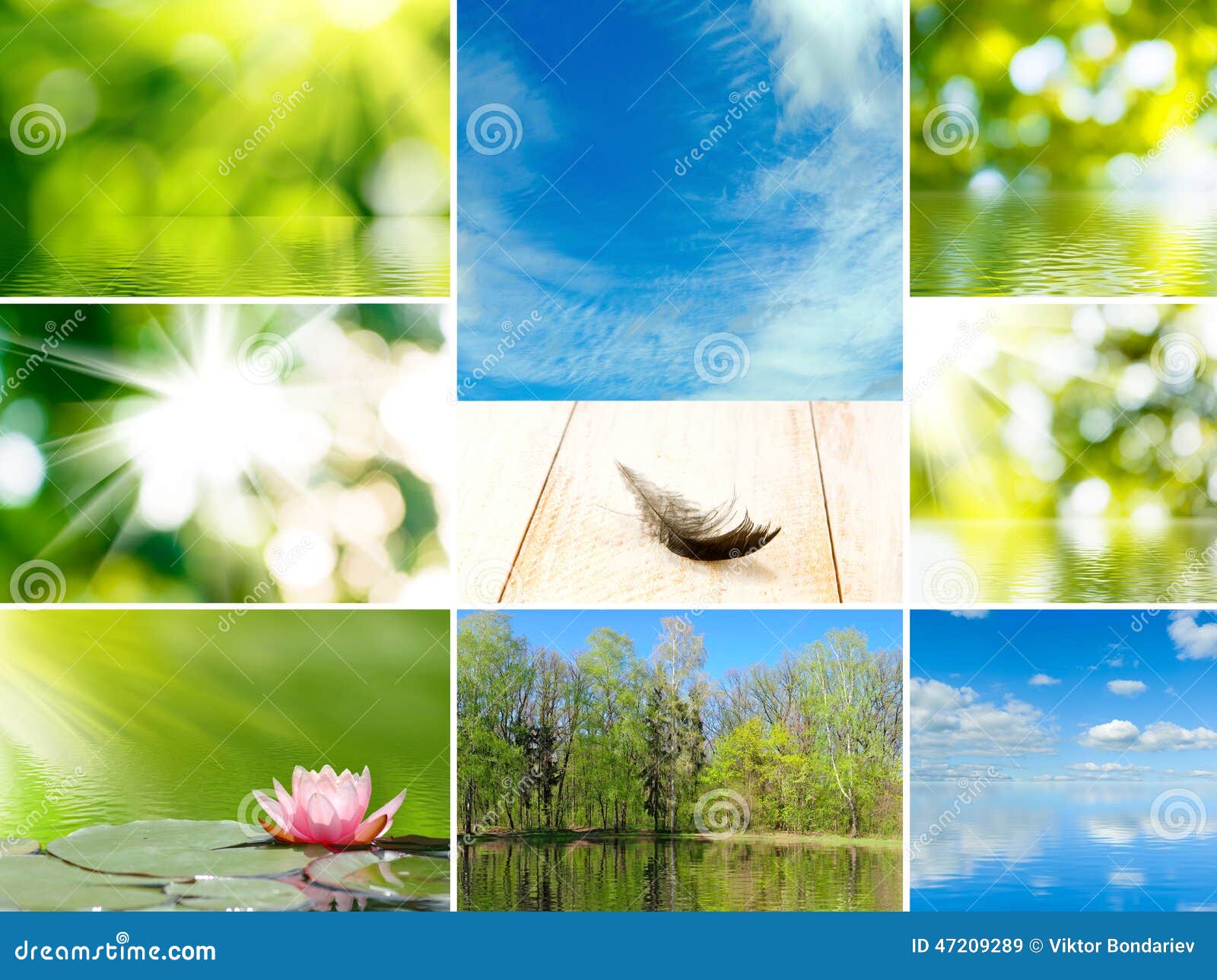 Different Beautiful Landscapes Stock Image - Image of nature, garden ...