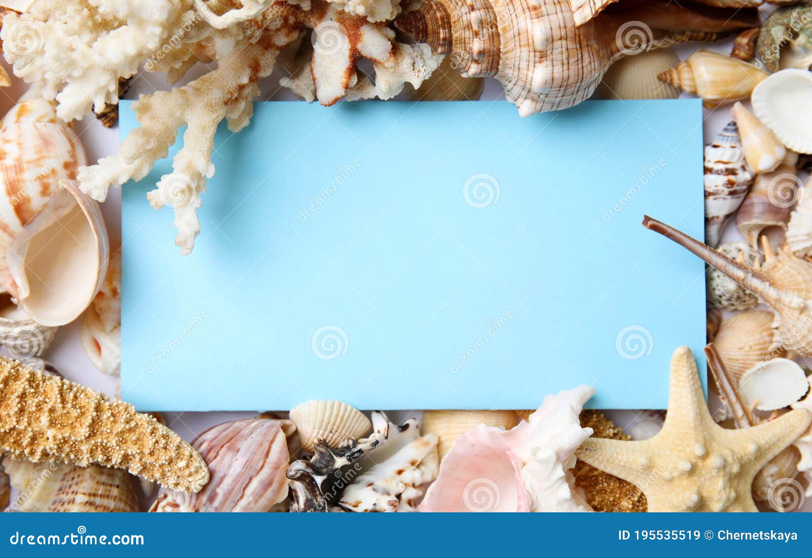 Different Beautiful Sea Shells and Blank Card. Space for Text Stock ...