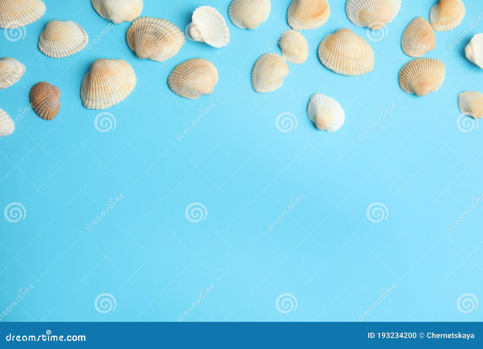 Different Beautiful Sea Shells on Blue Background, Flat Lay. Space for ...