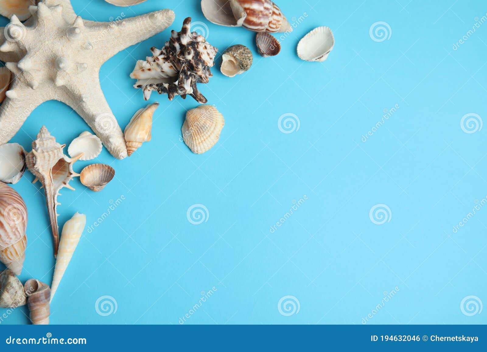 Different Beautiful Sea Shells on Blue Background, Flat Lay. Space for ...